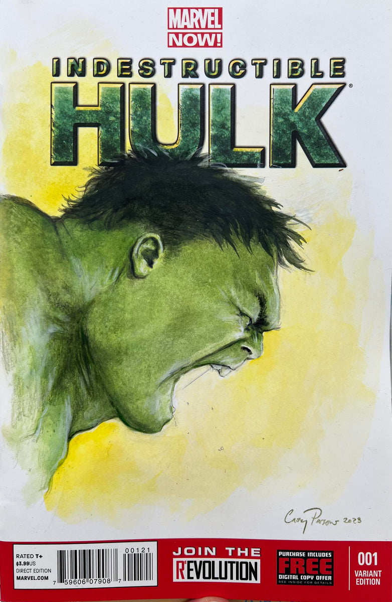 Casey Parsons Original Art Hulk Blank Cover – Kirby's Comic Art
